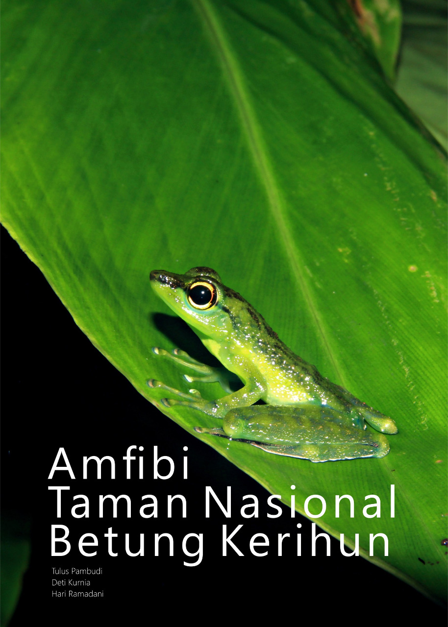 Ampibi Taman Nasional Betung Kerihun – Balai Besar Taman Nasional ...